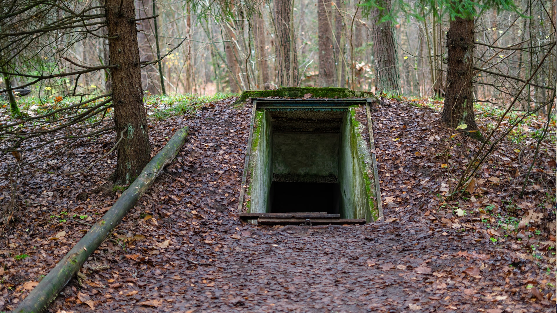 Old Ww2 Bunkers 7,300+ Ww2 Bunker Stock Photos, Pictures