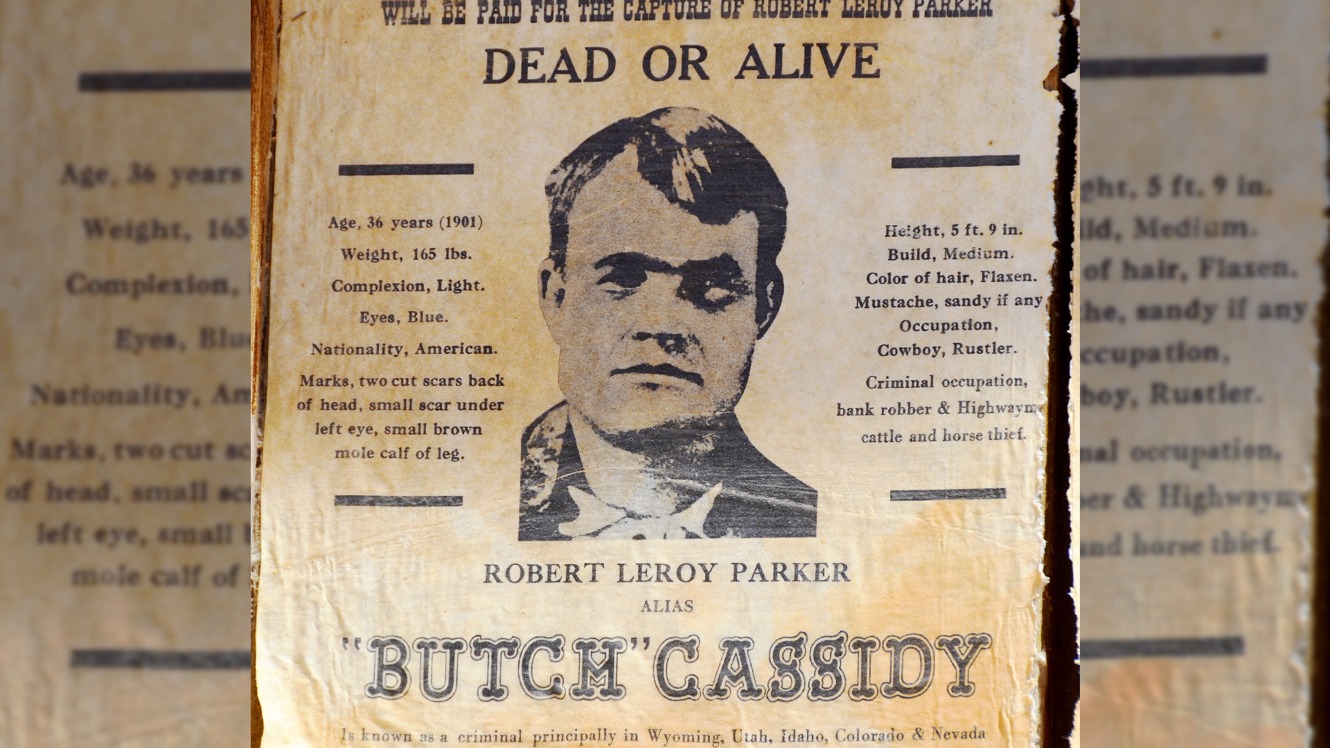 Butch Cassidy & Sundance Kid: Biography | Sky HISTORY TV Channel