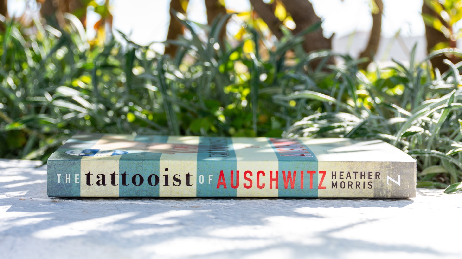 The true story behind 'The Tattooist of Auschwitz' | Sky HISTORY TV Channel