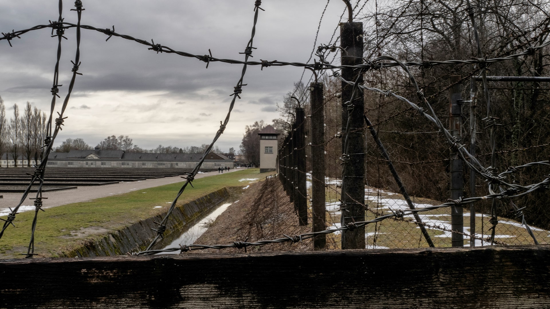 6 books by Holocaust survivors you need to read | Sky HISTORY TV Channel