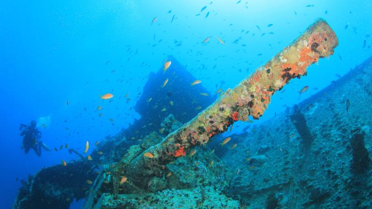 5 fascinating shipwrecks in the Red Sea | Sky HISTORY TV Channel